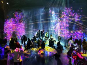 teamLab Borderless | Japan Feast