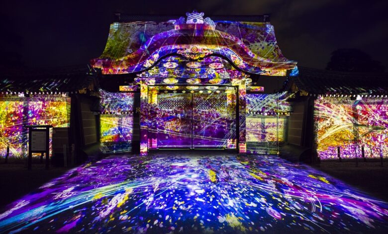 Nijo Castle Cherry Blossom Festival Features Sakura Light up | Japan Feast